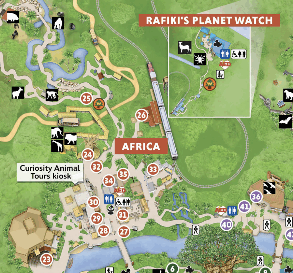 Printable Animal Kingdom Map - Free Printable Maps